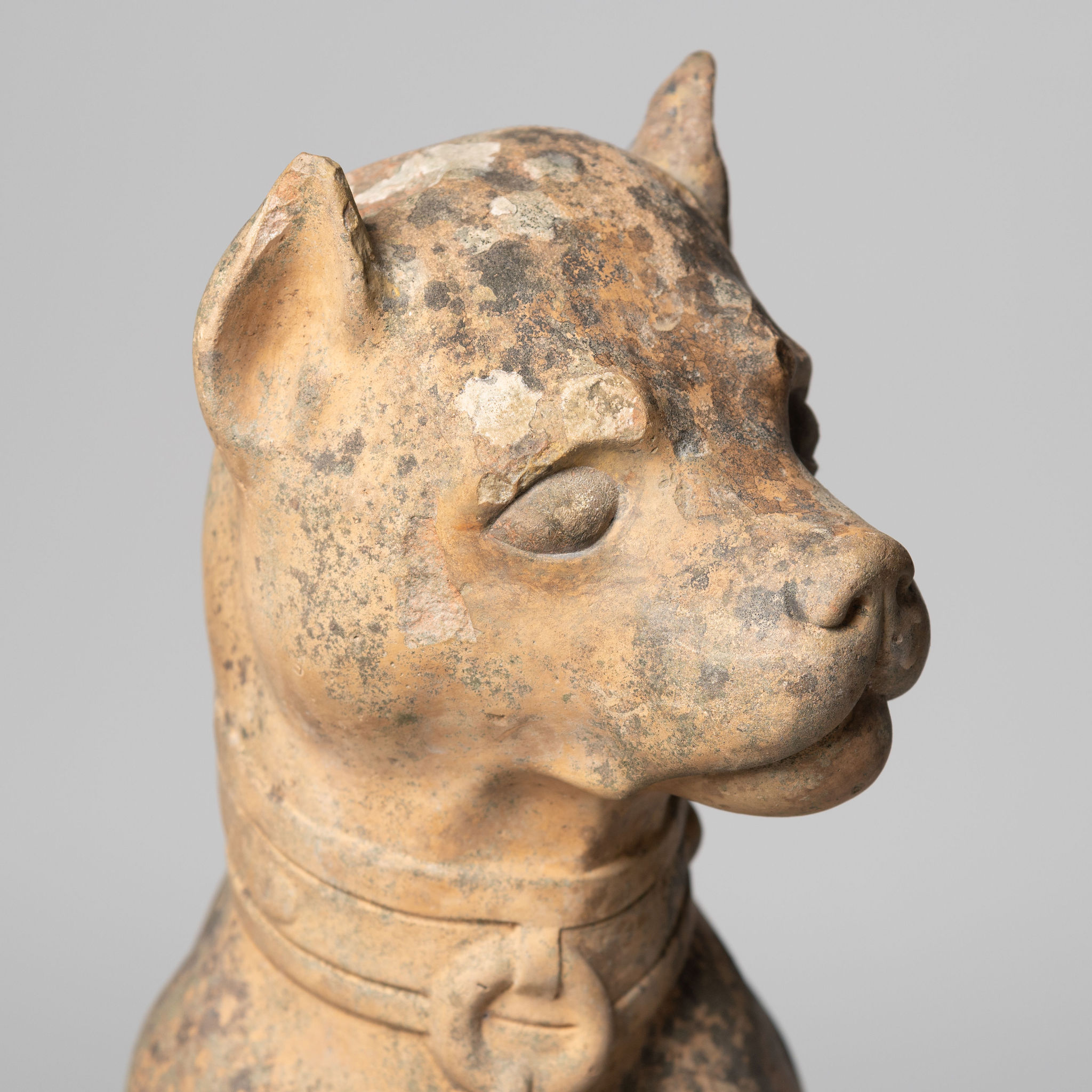 Antique Toulouse terracotta dog | Nikki Page Antiques