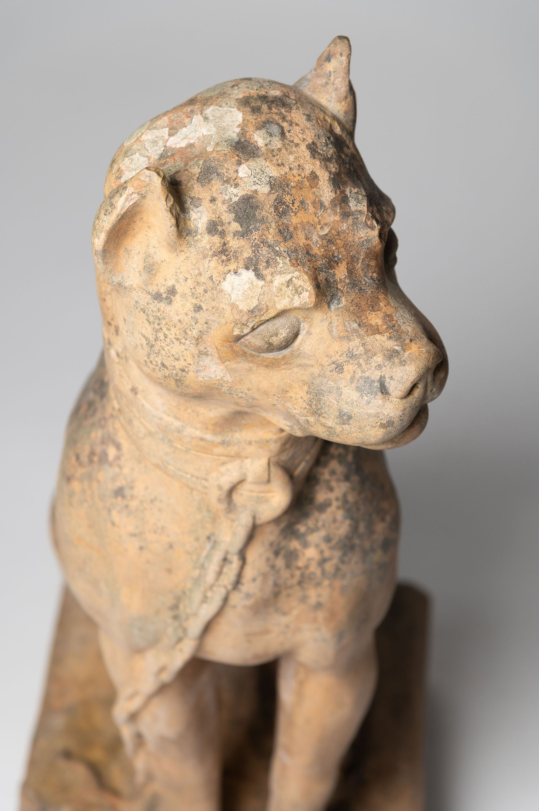 Antique Toulouse terracotta dog | Nikki Page Antiques