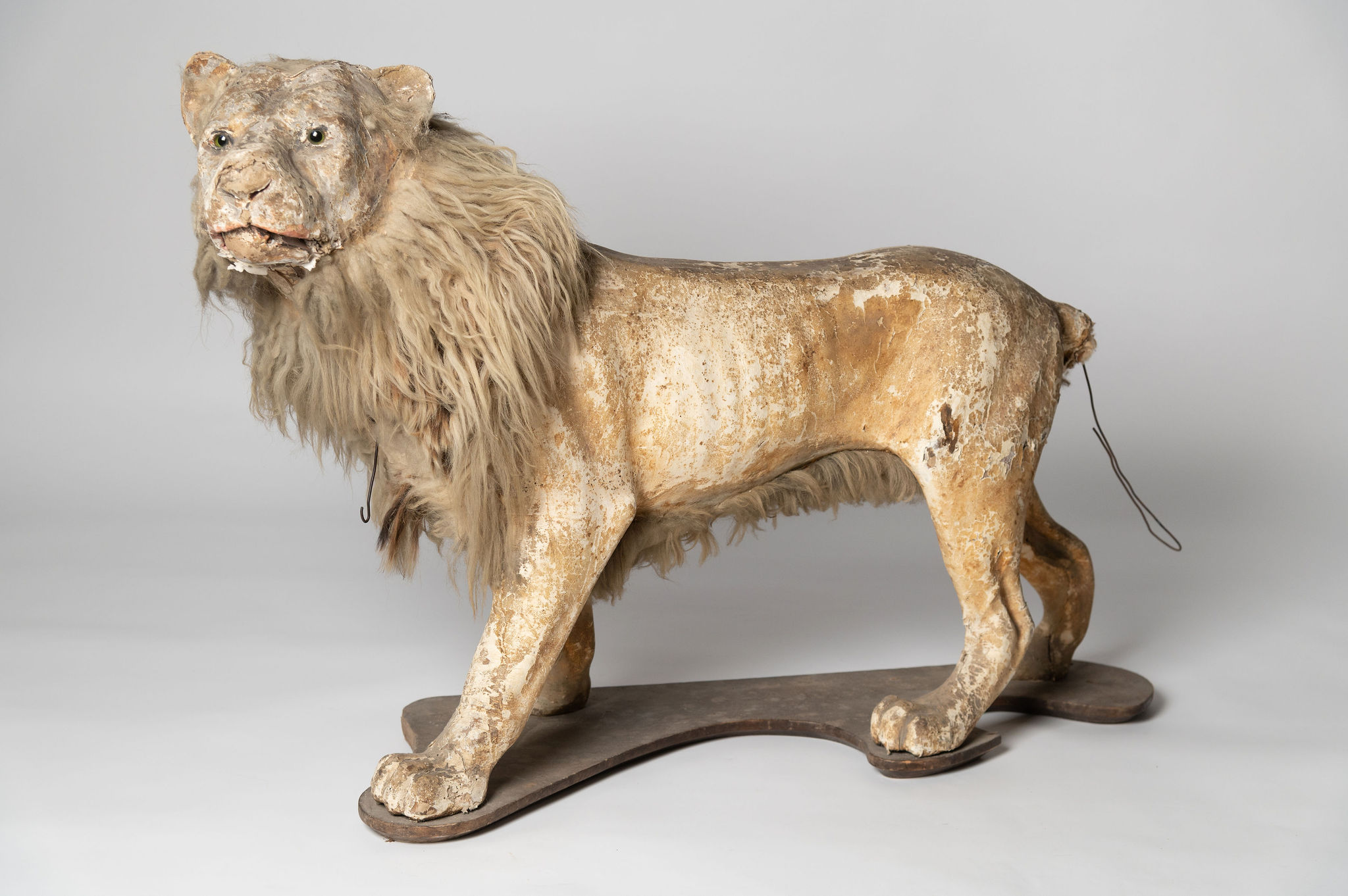 Antique French lion | Nikki Page Antiques