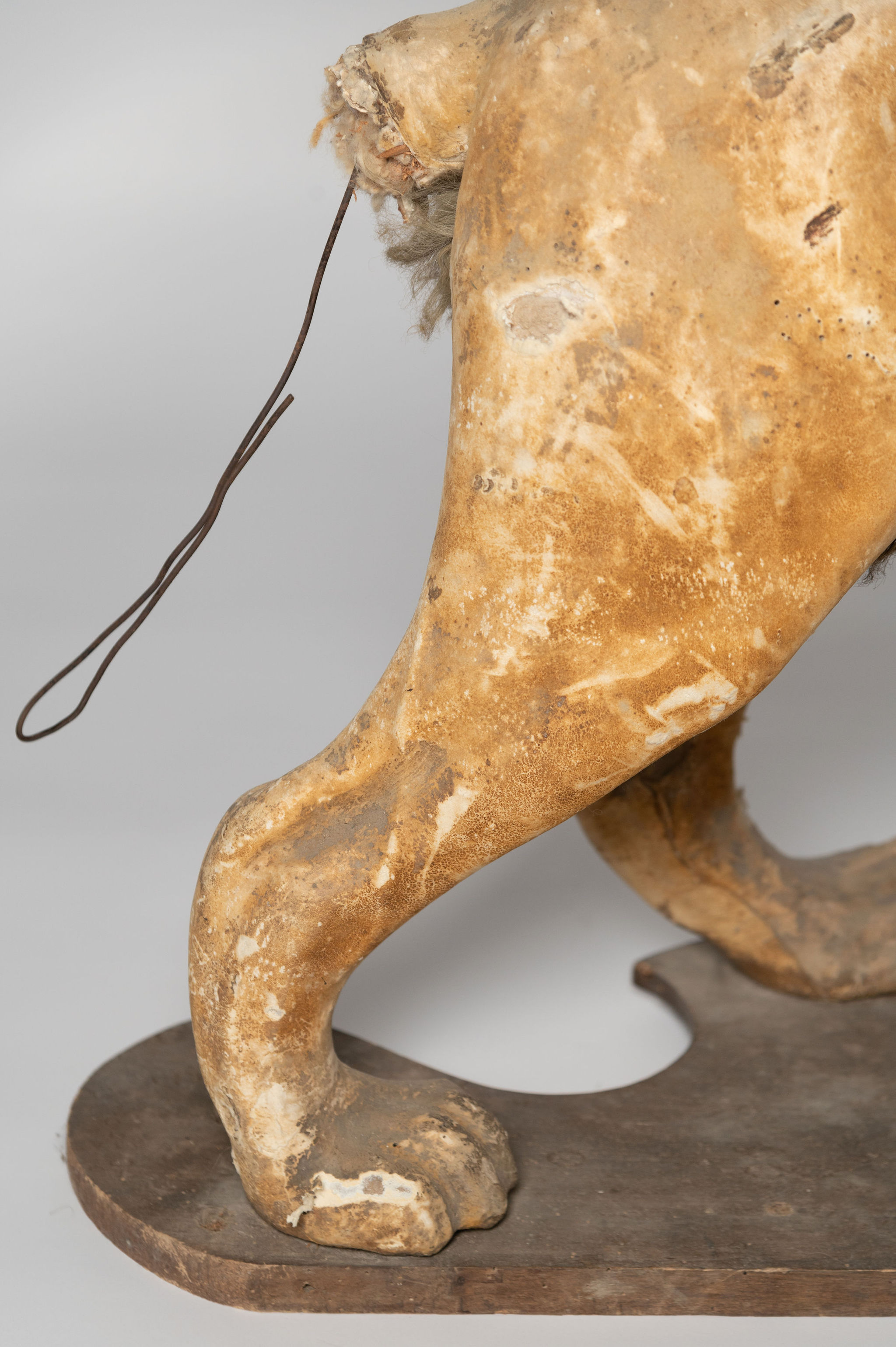 Antique French lion | Nikki Page Antiques