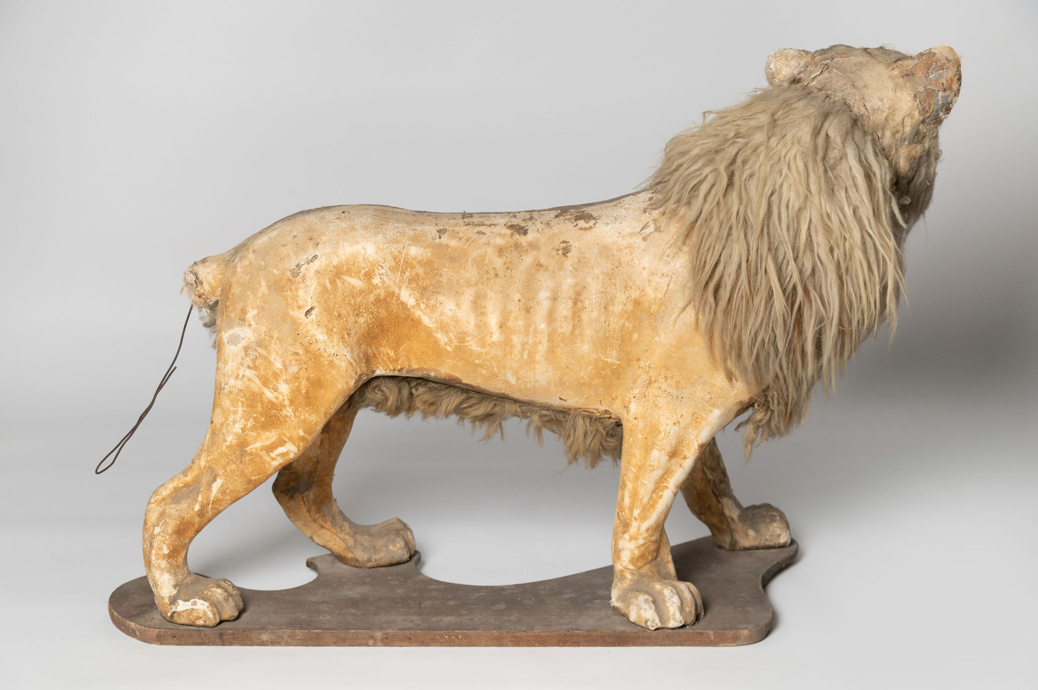 Antique French lion | Nikki Page Antiques