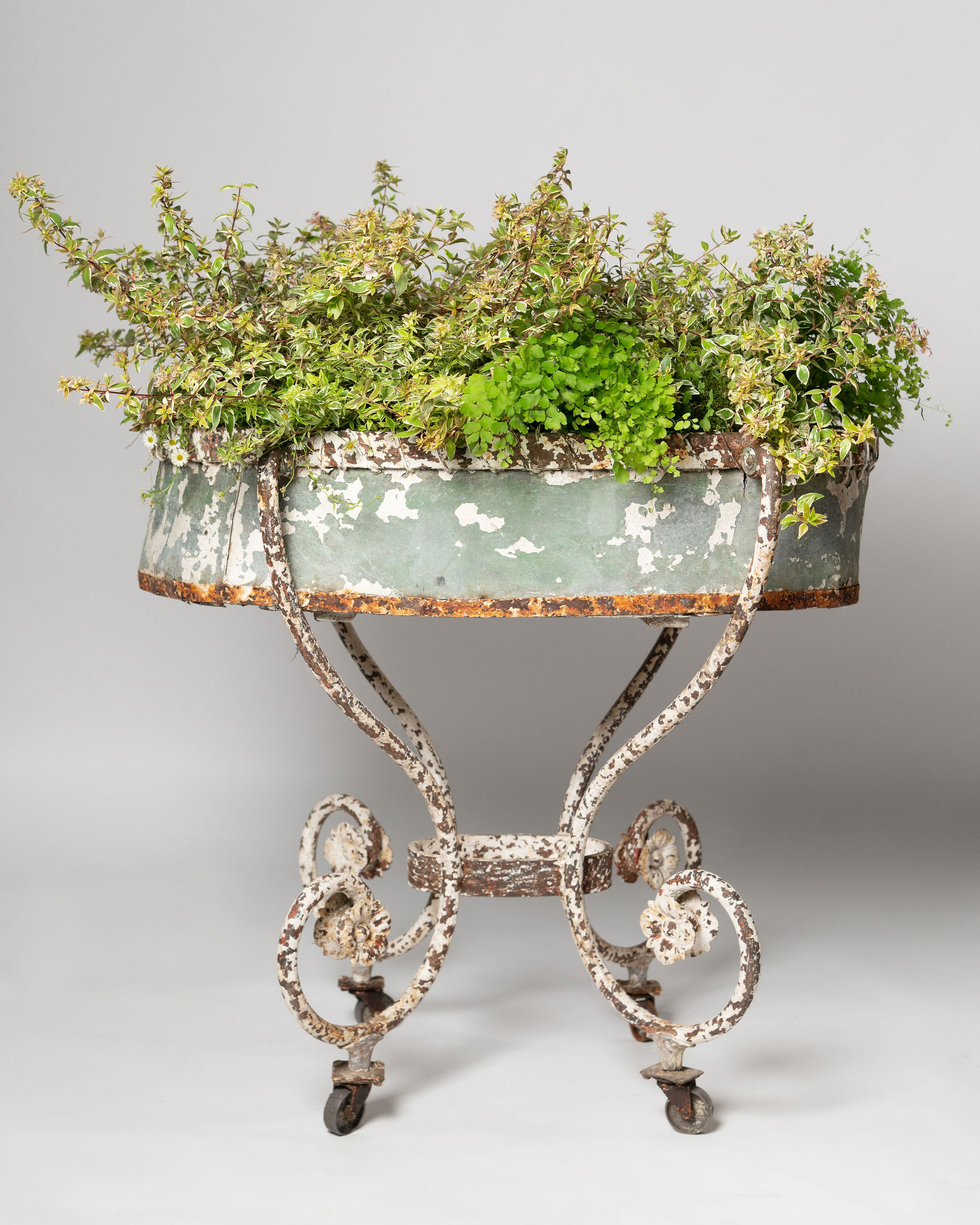 19th Century French planter | Nikki Page Antiques