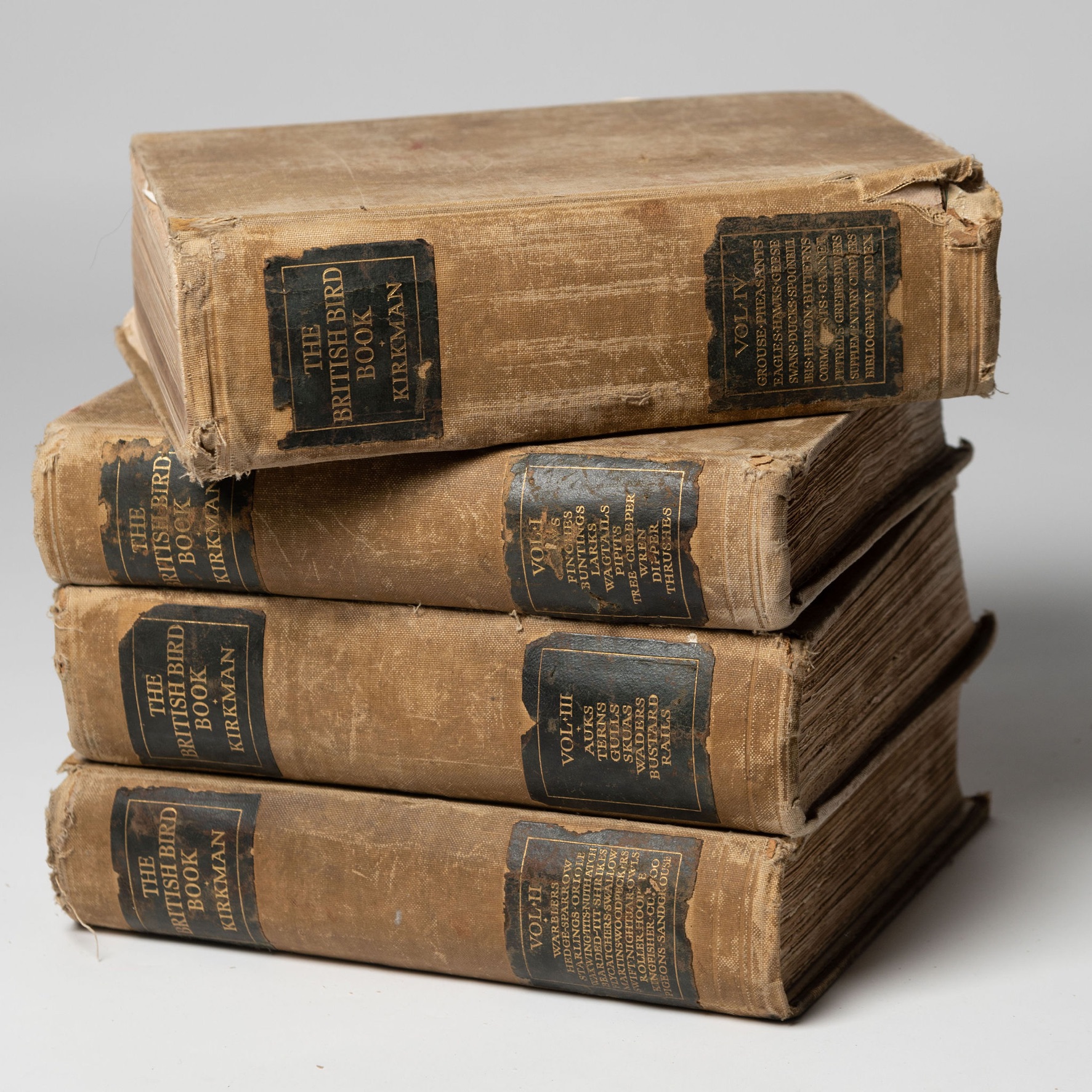 The British Bird Books | Nikki Page Antiques